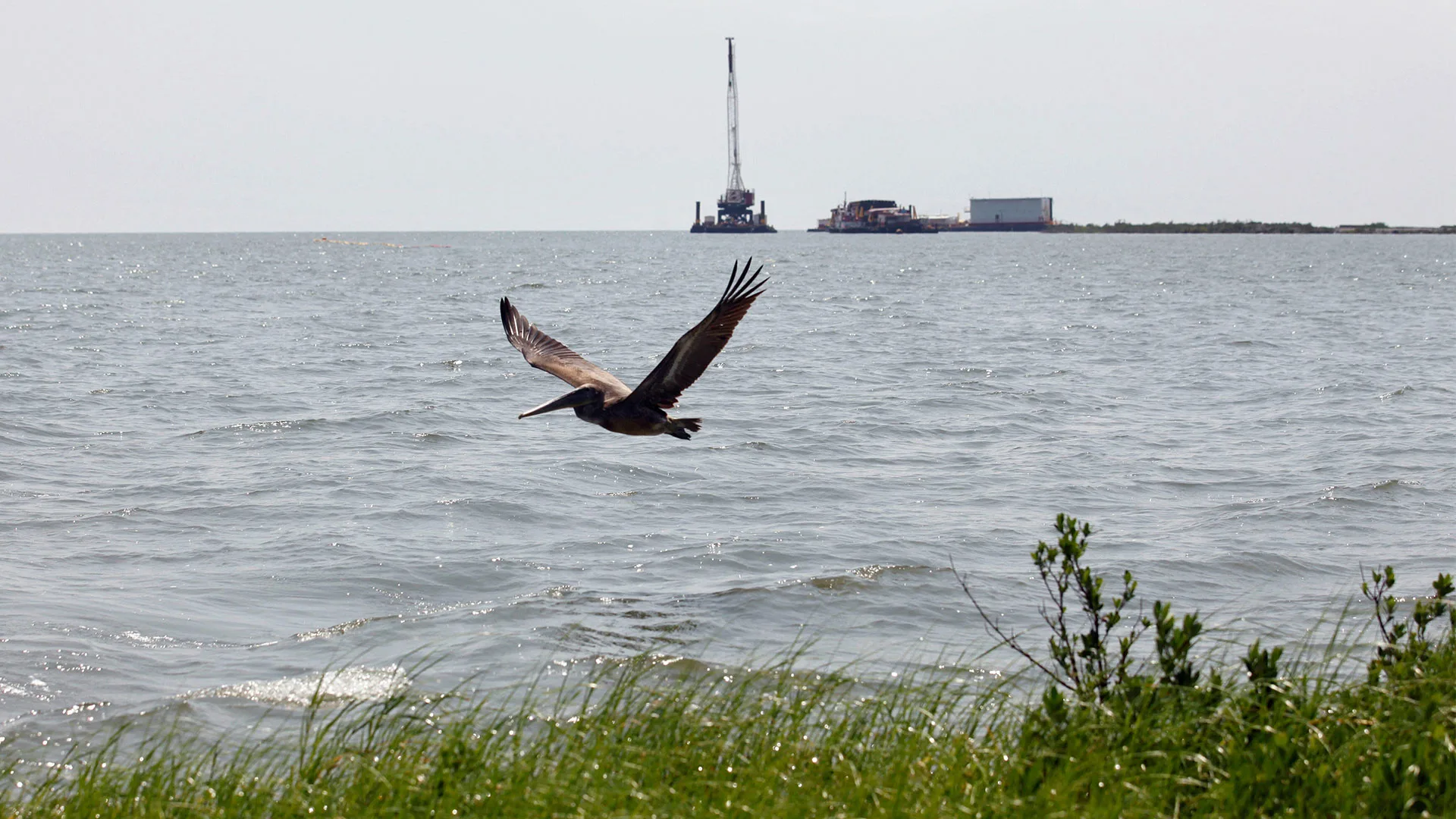 Texas firm gets record $9.6 million fine after Gulf of Mexico oil spill ...