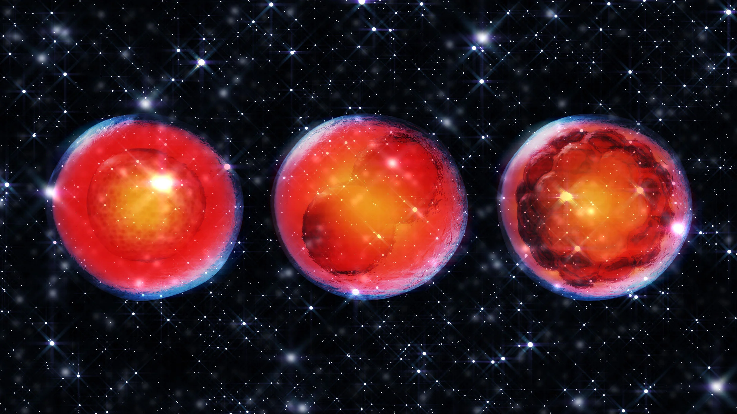 China is researching whether we can have babies in space - Fast Company