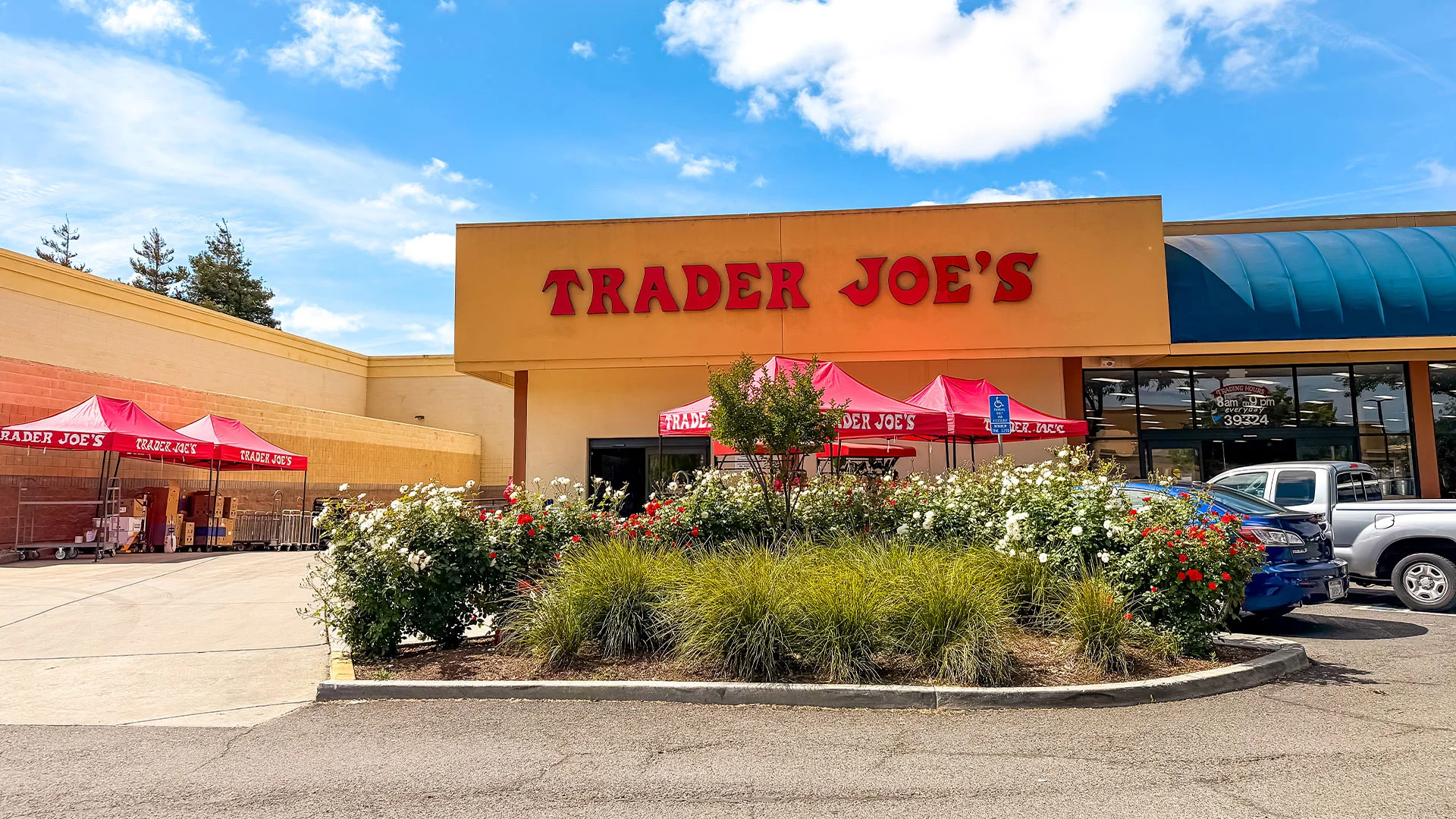 Trader Joe’s is dropping a new $2.99 tote, and shoppers are already ...
