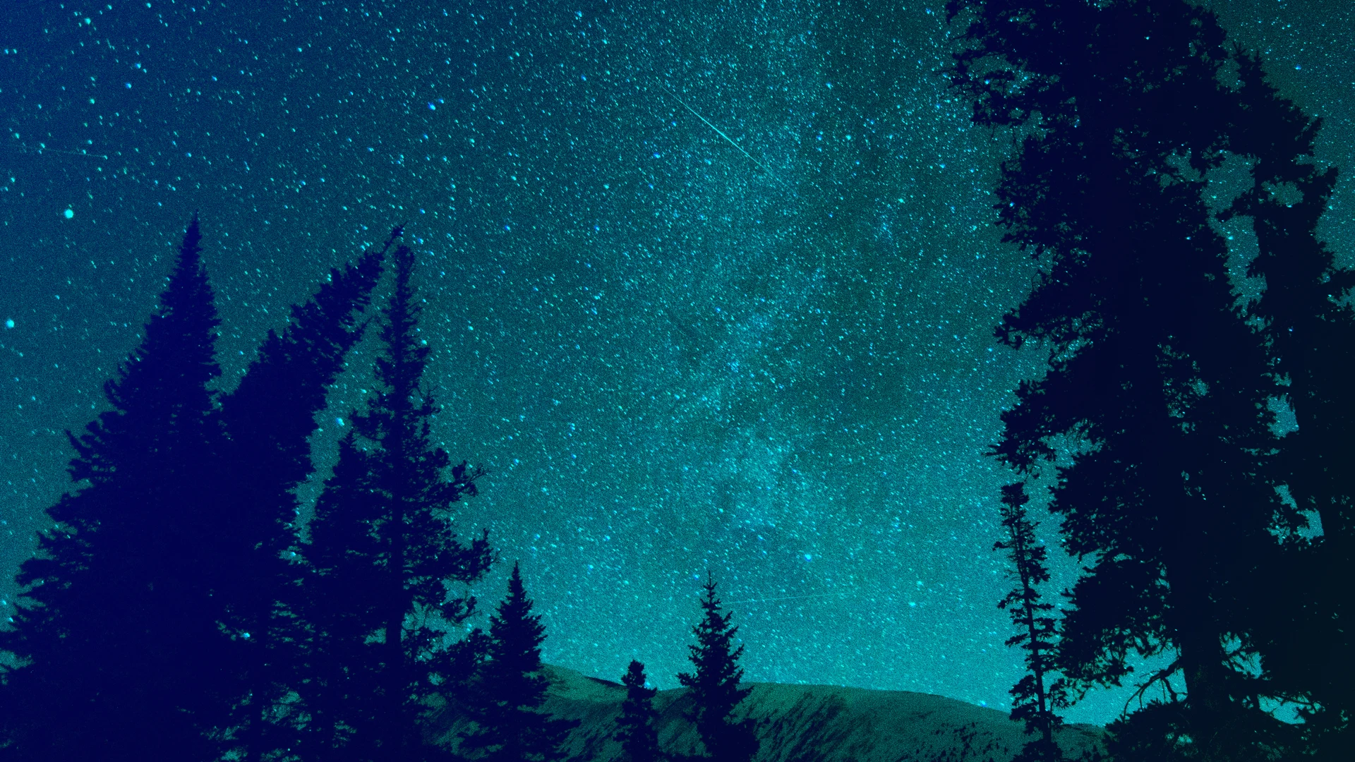 halley's comet meteor