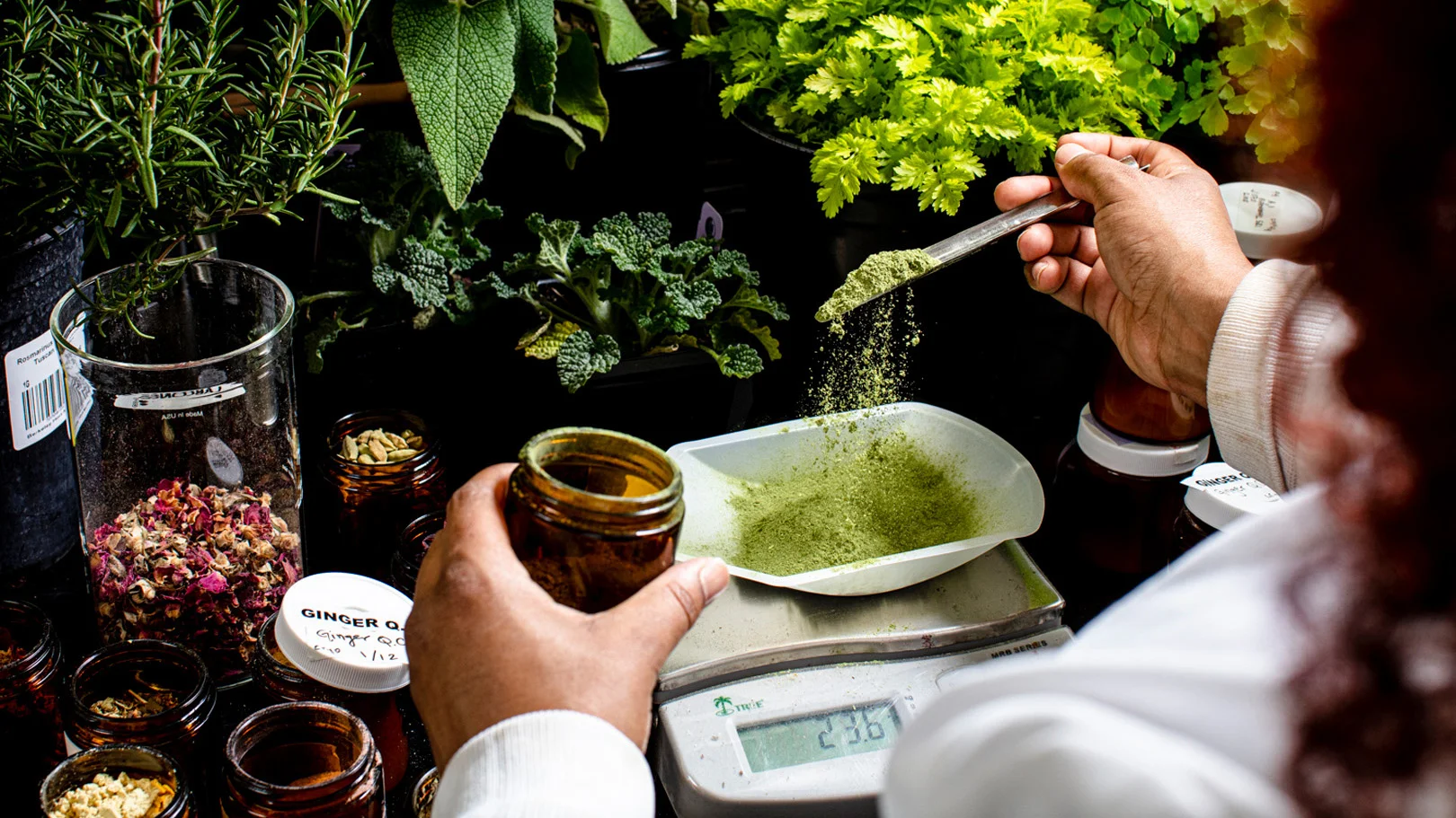 This company mines everyday plants for breakthrough discoveries - Fast ...