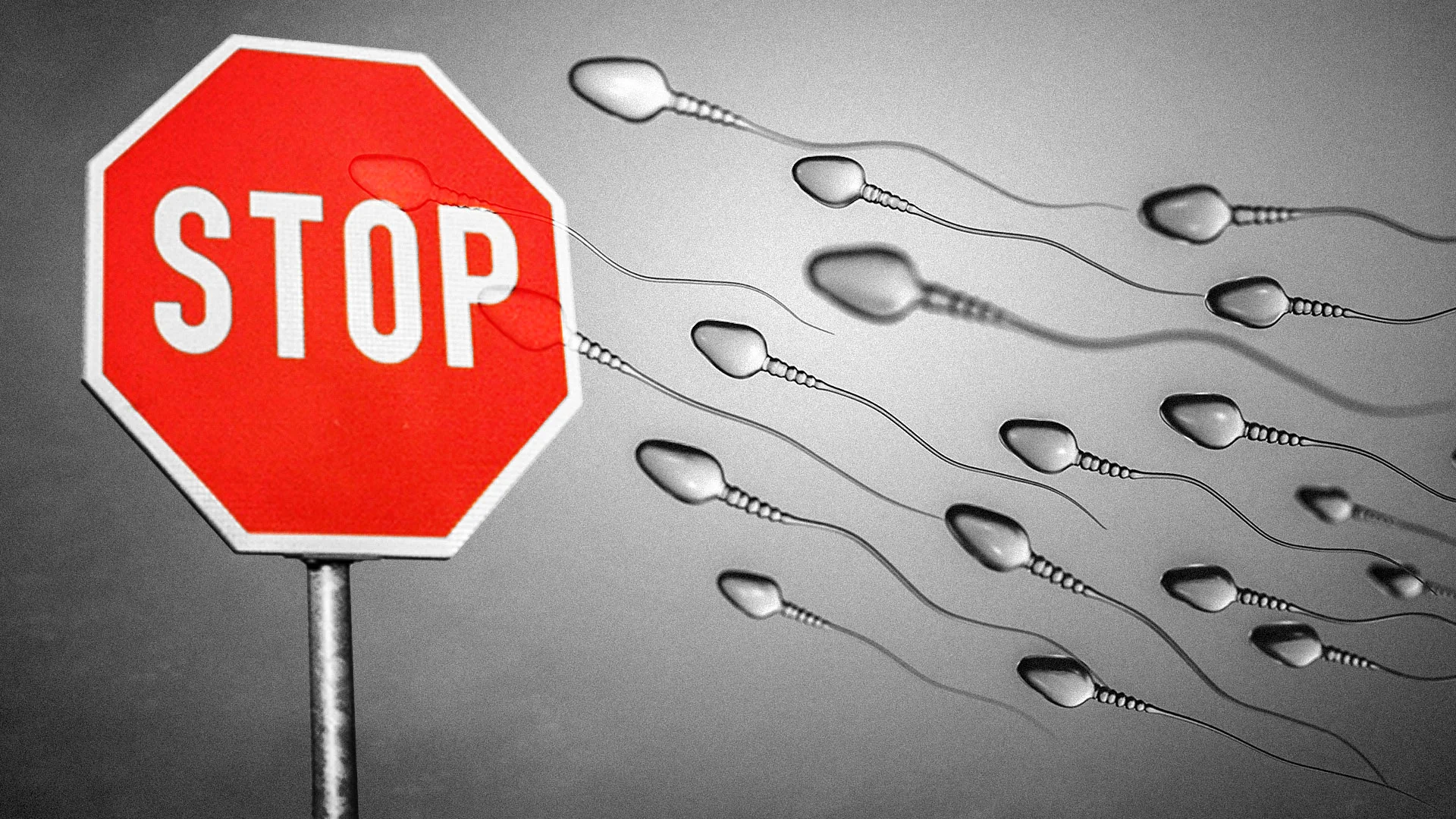 Stop Men