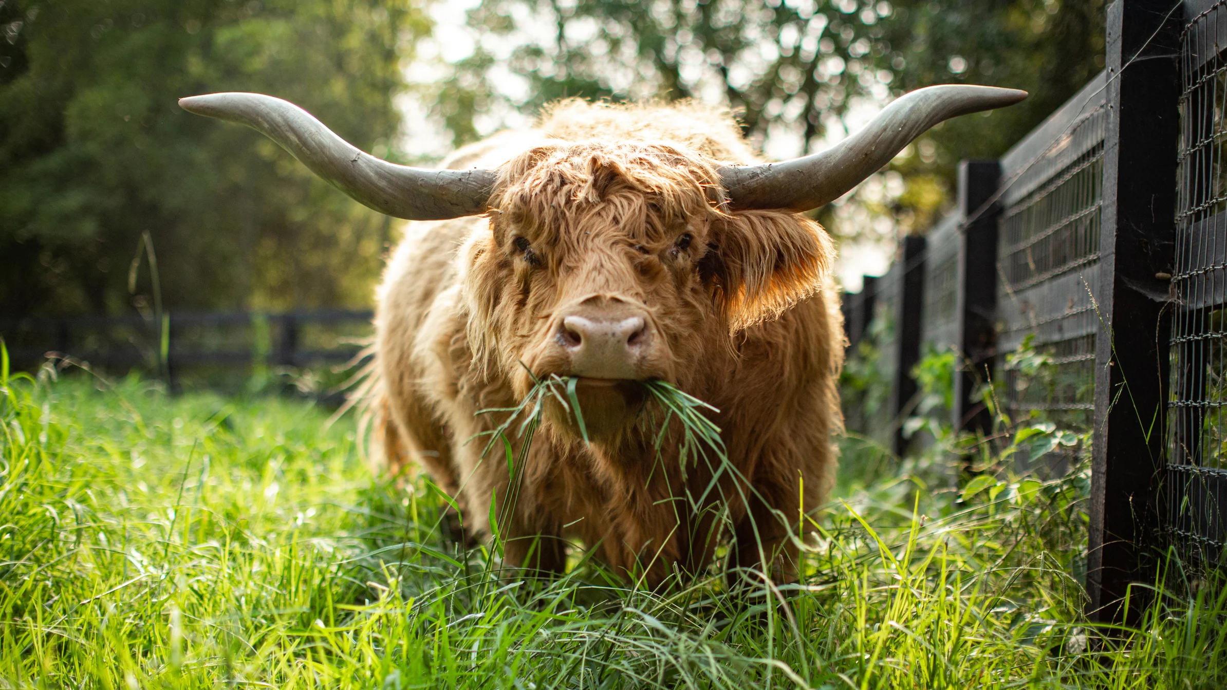 Poop jacuzzis, ducks, and worm bins: How this inspirational farm ...