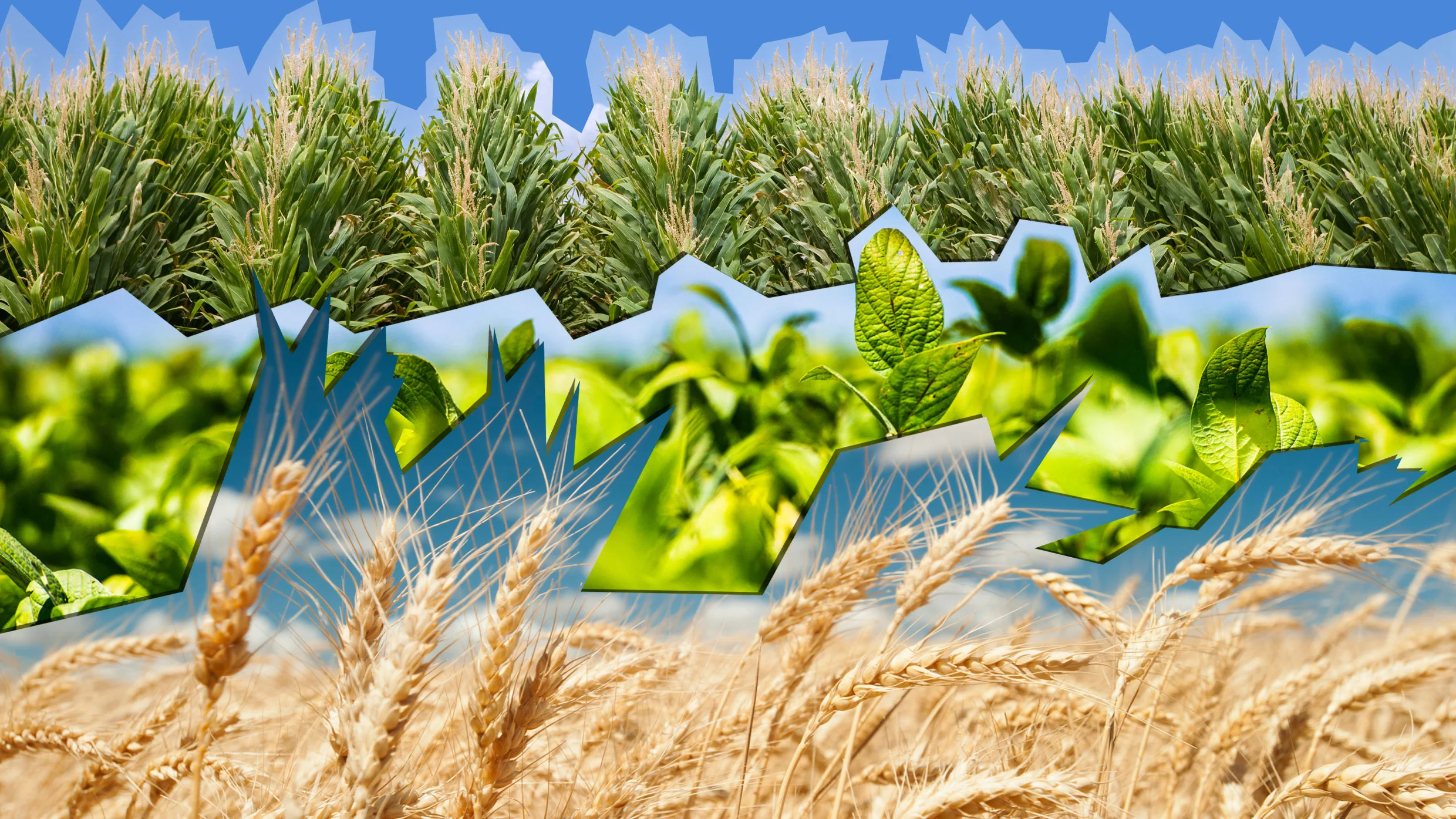 Environmental Farming Techniques