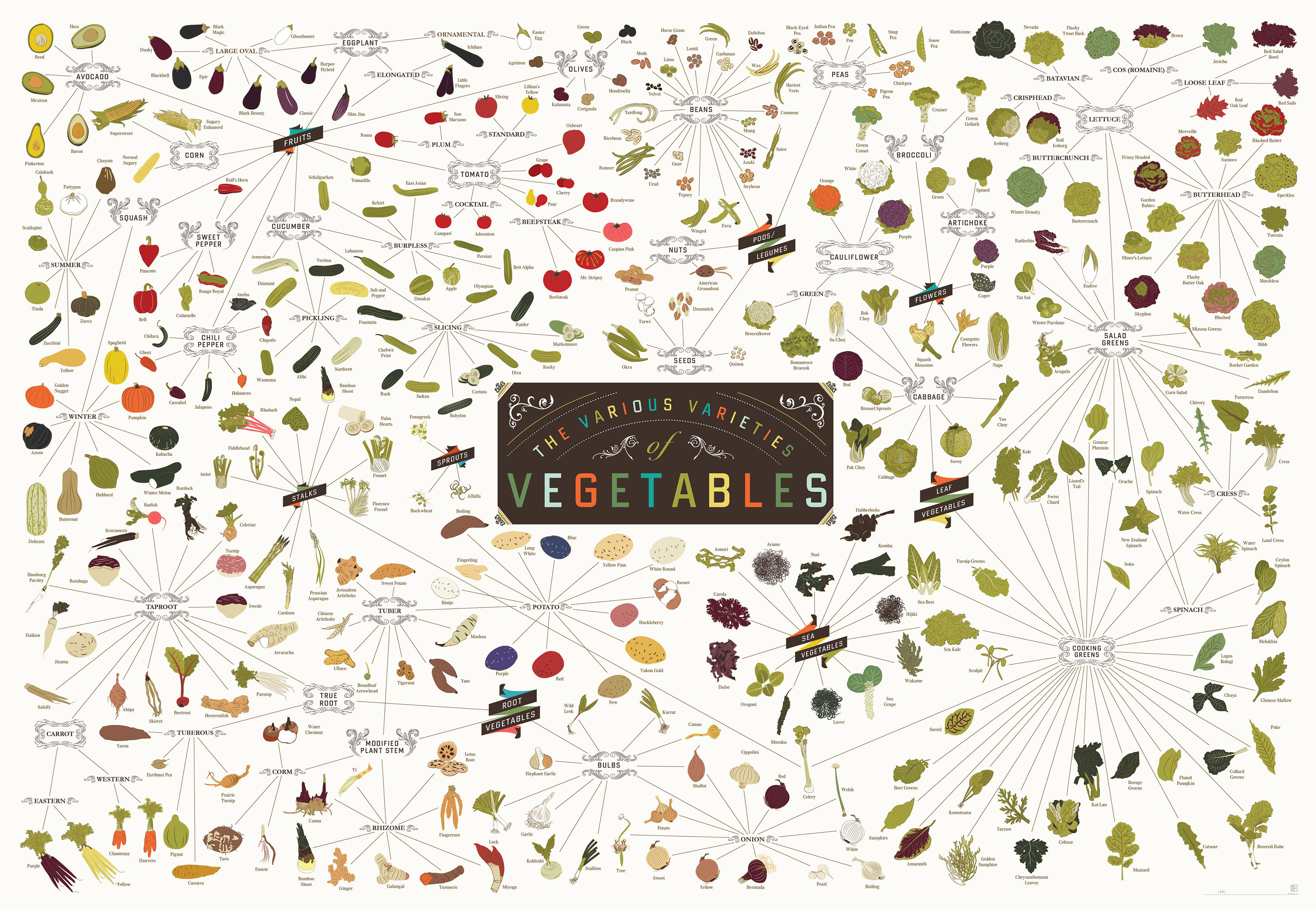 Infographic: Over 400 Vegetables On One Incredibly Healthy Poster ...