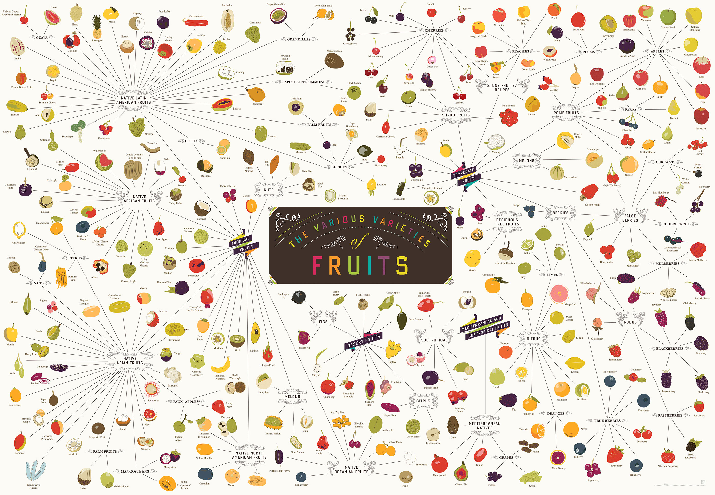 Infographic: Over 300 Fruits On One Mouthwatering Map - Fast Company