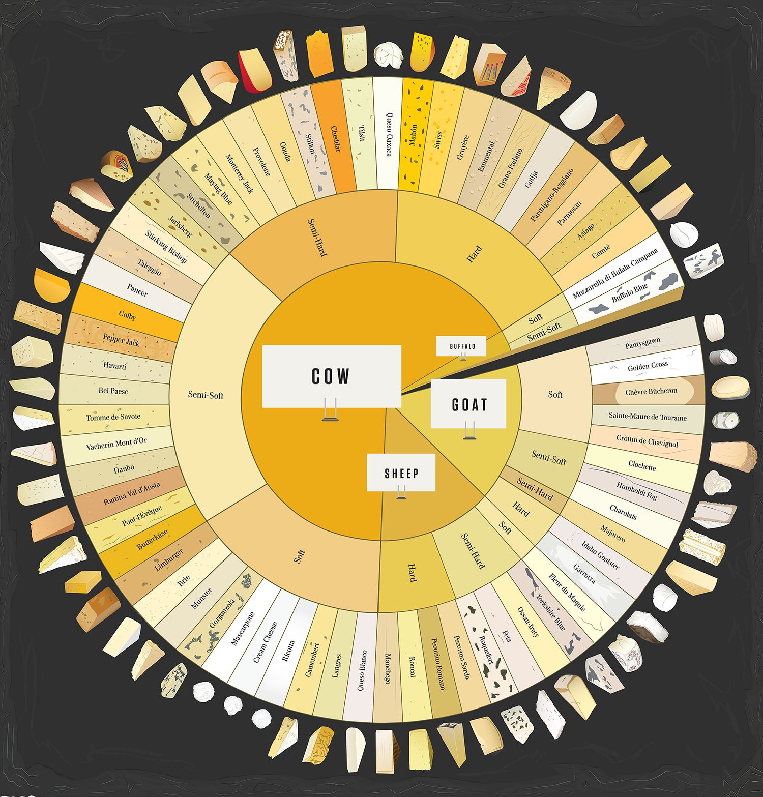 Infographic: How To Tell The Difference Between 66 Varieties Of Cheese ...