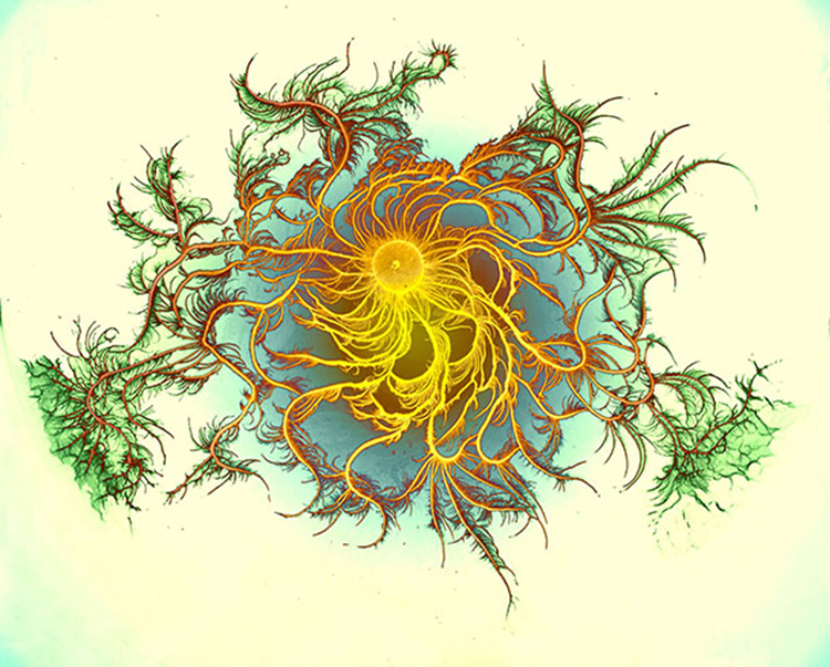 The Social Behavior Of Bacteria, Trippily Explored In Art - Fast Company