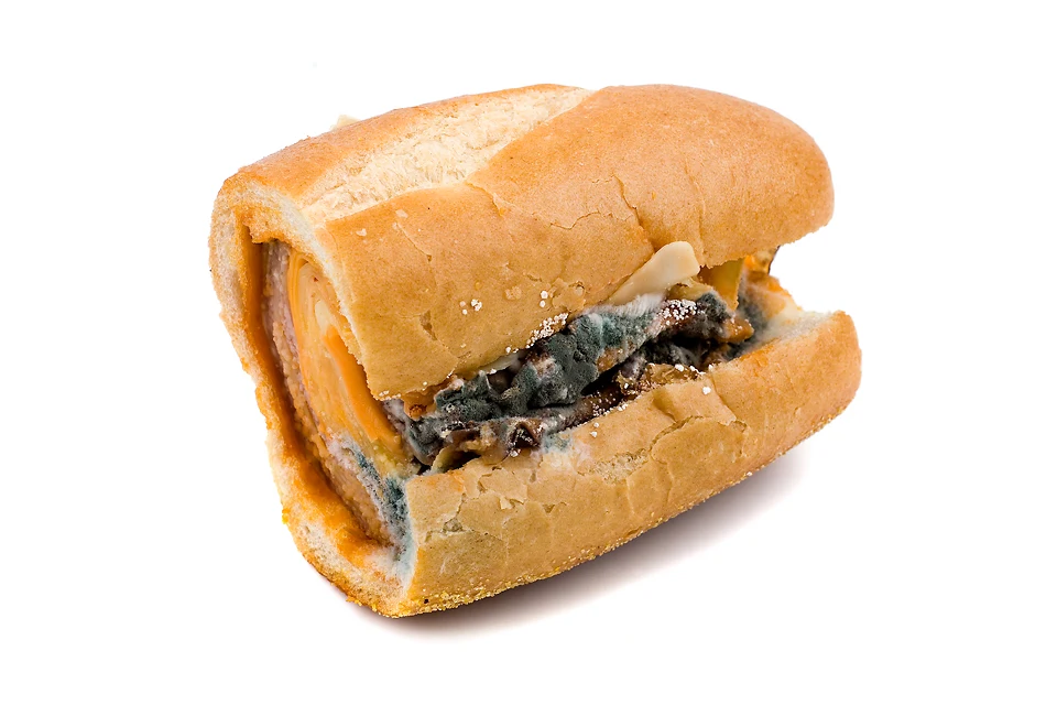 These Oddly Lovely Photographs Of Rotten Food Will Make You Rethink ...