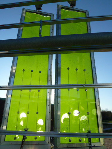 This Entire Building Is Powered By Its Algae-Filled Walls - Fast Company