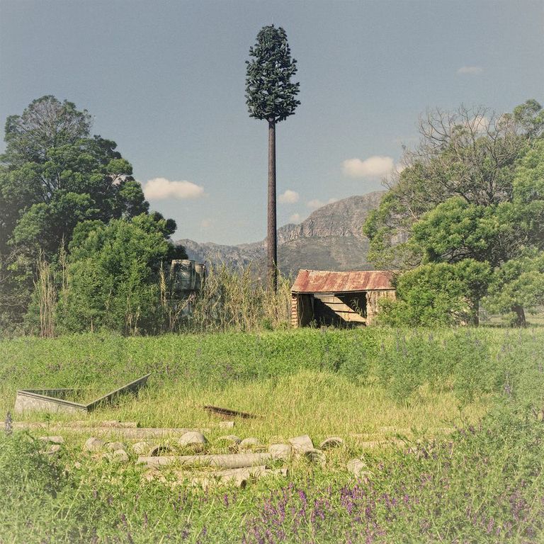 12 Beautiful Photos Of Ridiculous Cell Phone Towers Disguised As Trees ...
