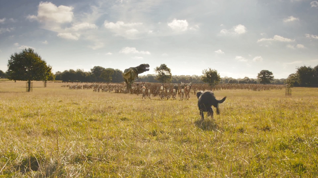 "Jesus Christ!" Viral Dog Fenton Returns To Wreak Havoc On Deer In High ...