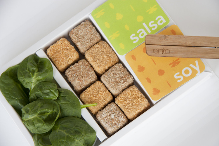 A Grand Plan For Feeding The World With Insects - Fast Company