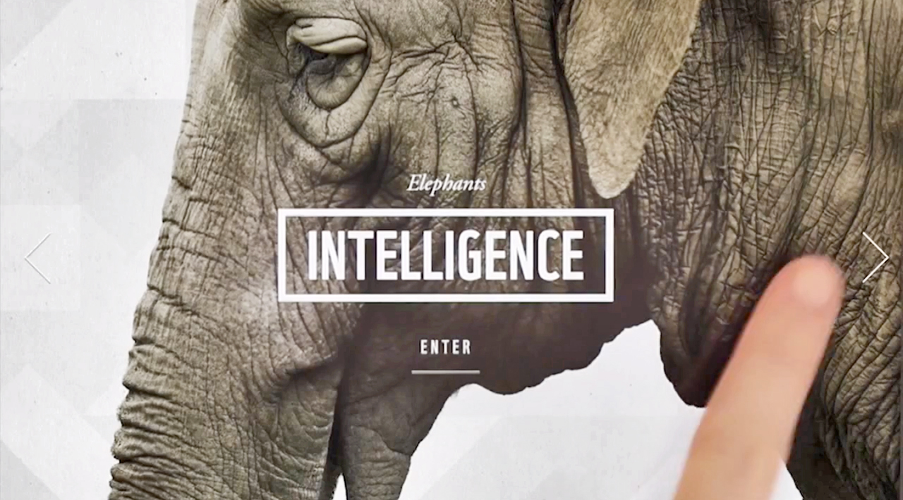 A WWF App Teaches Us About Endangered Species...and Folding Them into ...