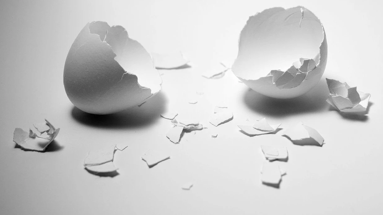 How To Know If You're Working With Mammals Or Reptiles (And Why It ...