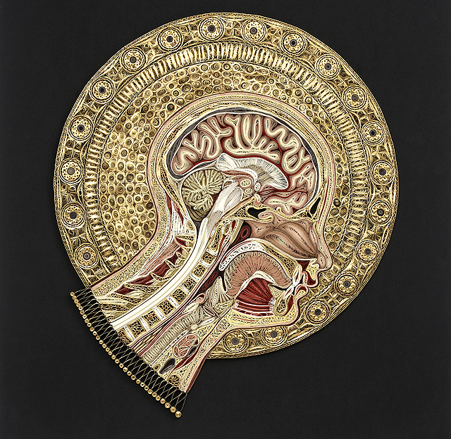 See Amazing Recreations Of Your Internal Organs Made Out Of Paper ...