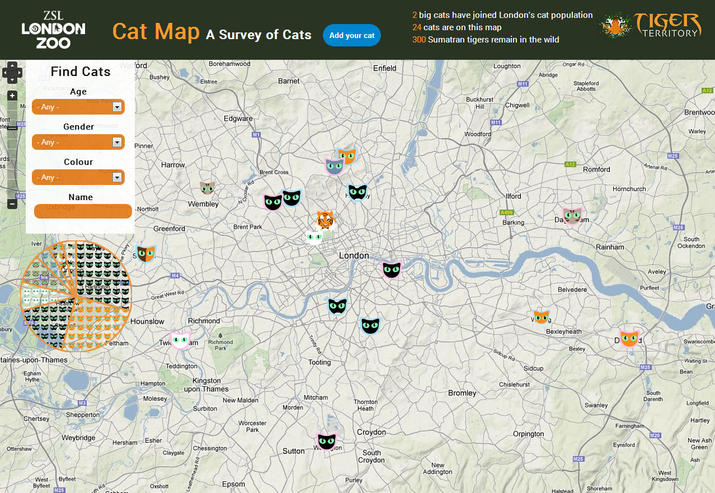 Put Your Cat On The Map (The Interactive Map of the World's Cats That ...