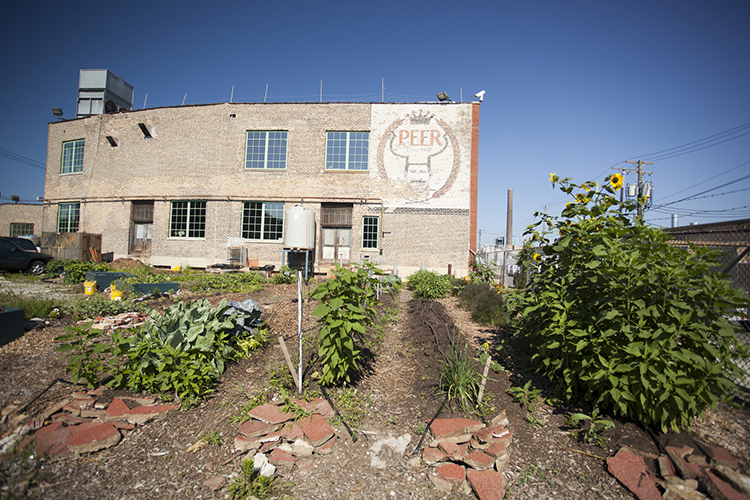 Inside The Meatpacking Plant Being Turned Into An Enormous Vertical ...