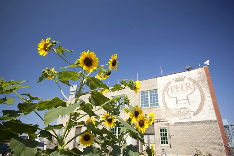 Inside The Meatpacking Plant Being Turned Into An Enormous Vertical ...