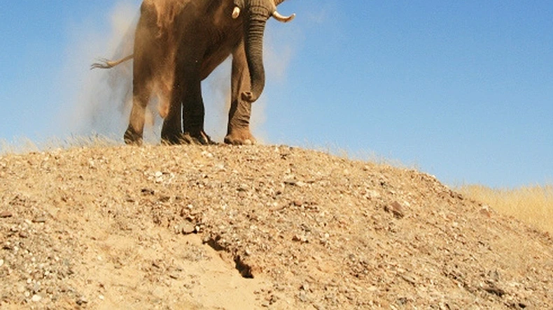 The End Of Rational Vs. Emotional: How Both Logic And Feeling Play Key ...