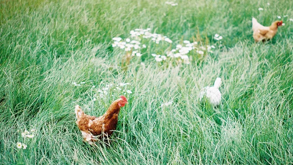 The End Of Advertising As We Know It-And What To Do Now - Fast Company