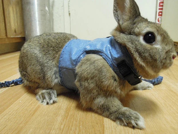 The 26 Best Amazon Customer Images - Fast Company