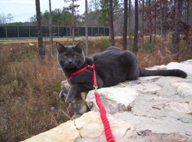 The 26 Best Amazon Customer Images - Fast Company