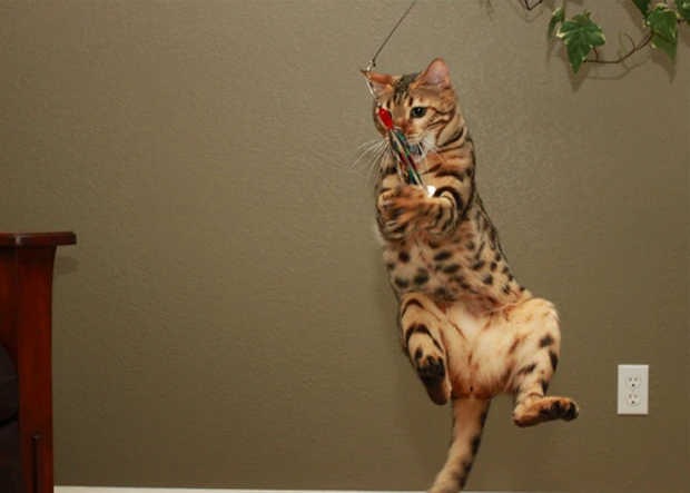 The 26 Best Amazon Customer Images - Fast Company