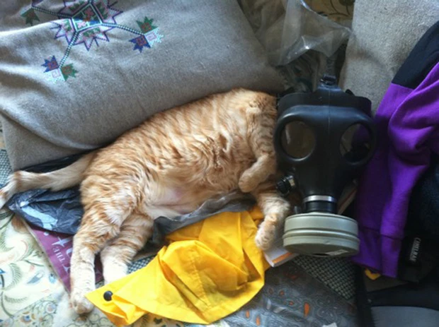 The 26 Best Amazon Customer Images - Fast Company