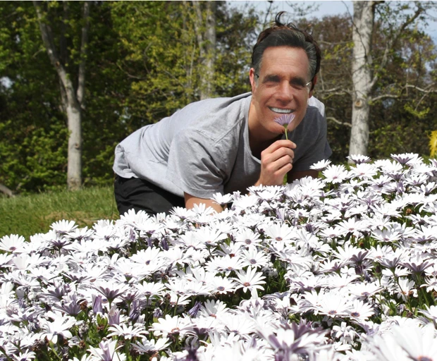 The 26 Best Amazon Customer Images - Fast Company