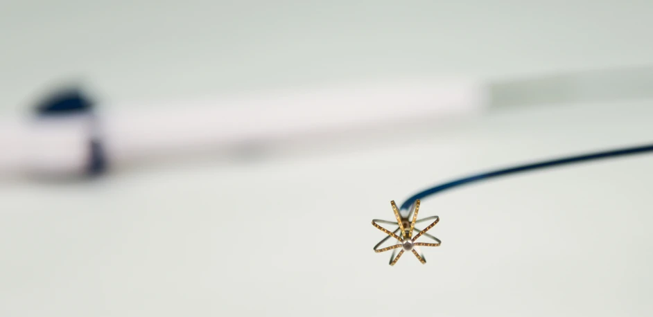 Rhythmia Medical Maps A Better 3-D Picture Of A Beating Heart-From The ...