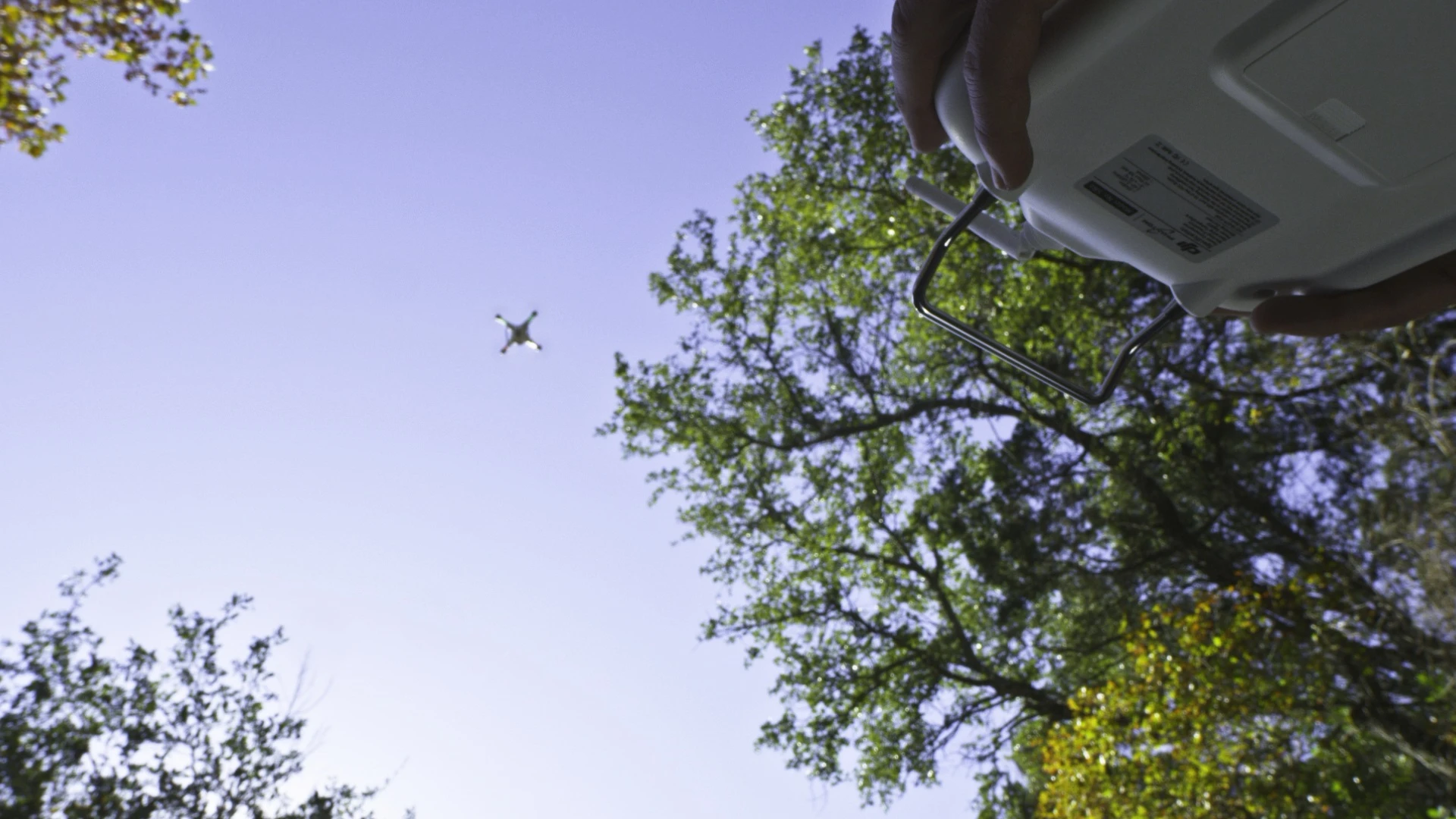 Test Flying A Drone That Makes Anyone An Aerial Photographer - Fast Company