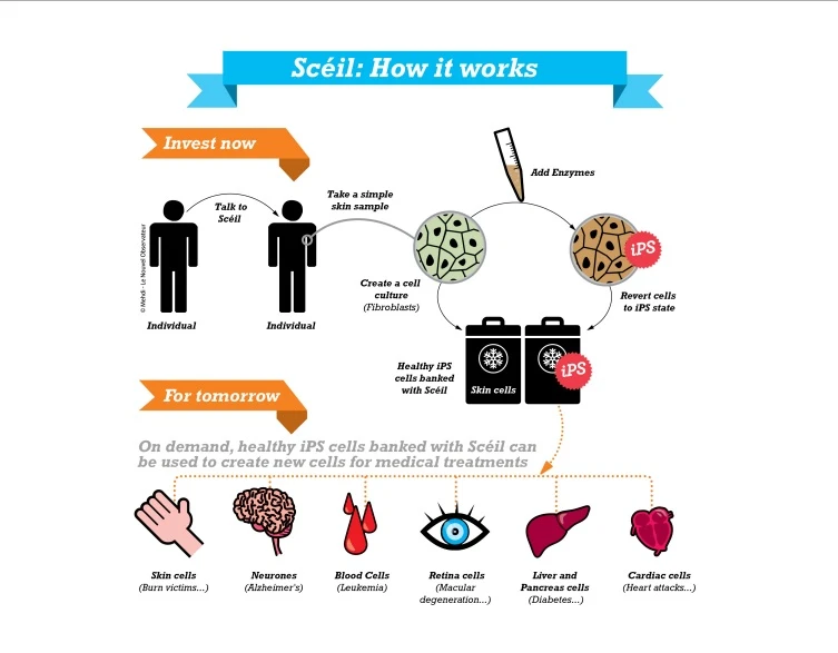 For $60,000, You Can Store Your Stem Cells in This Bank - Fast Company