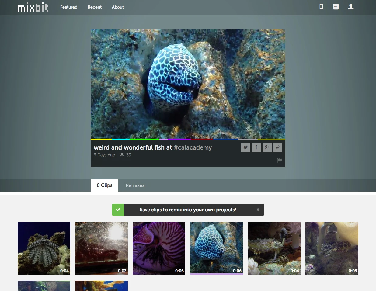 MixBit, The New App From YouTube's Founders, Aims To Turn Everyone Into ...