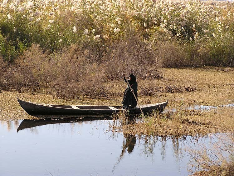This Is Iraq's First National Park - Fast Company