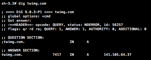 New York Times and Twitter Attacks Appear To Be Coordinated Effort ...