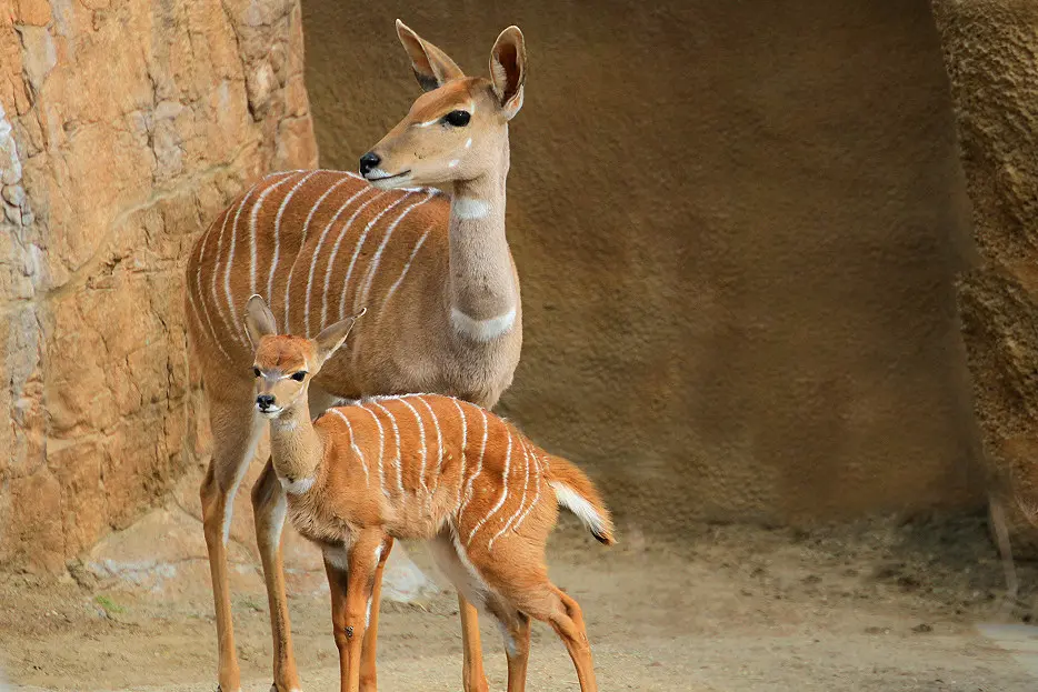 6 Ways To Be A Hemingway-Level Productive Badass - Fast Company