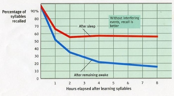 The Science Behind What Naps Do For Your Brain-And Why You Should Have ...
