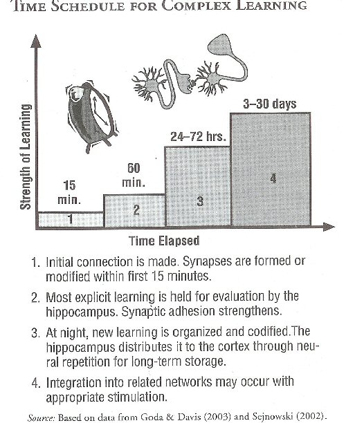 The Science Behind What Naps Do For Your Brain-And Why You Should Have ...