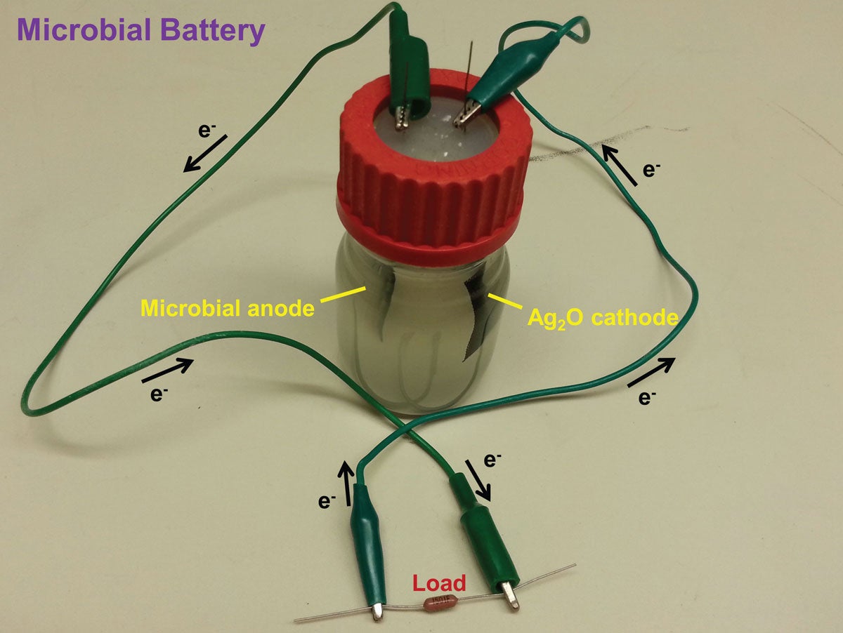 This Microbial Battery Makes Power And Water From Poop And Pollution ...