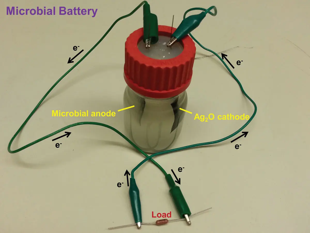 This Microbial Battery Makes Power And Water From Poop And Pollution ...