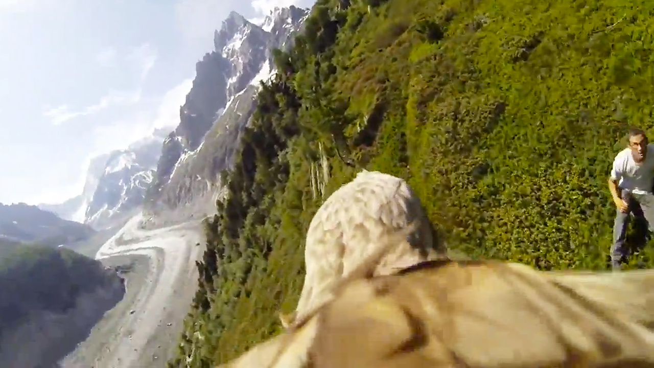 Some Hero Strapped a GoPro Camera Onto An Eagle And The Footage Is ...