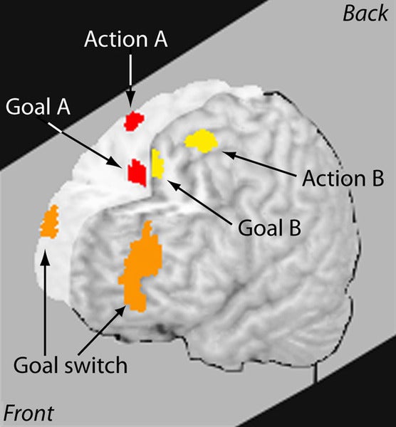 Why We're More Creative When We’re Tired, And 9 Other Surprising Things ...