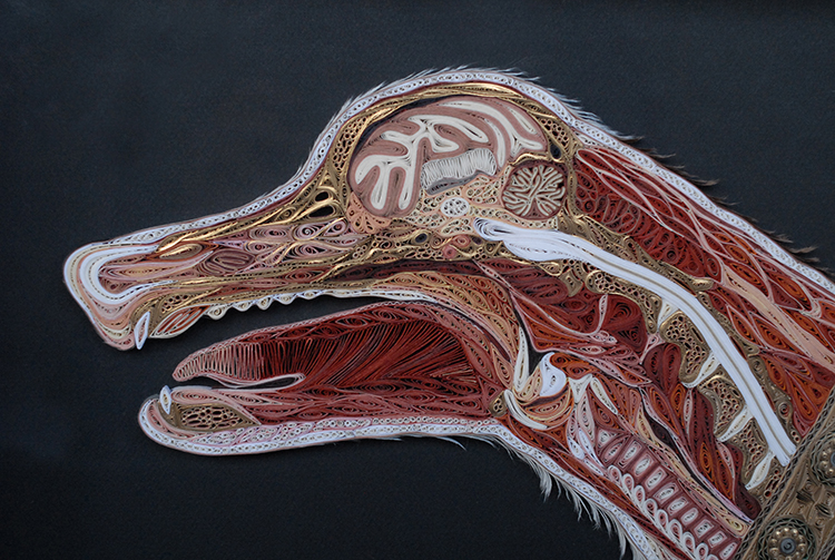 Dissected Cadavers Re-Created Using Rolls Of Paper - Fast Company