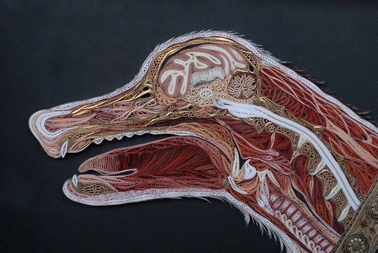 Dissected Cadavers Re-Created Using Rolls Of Paper - Fast Company