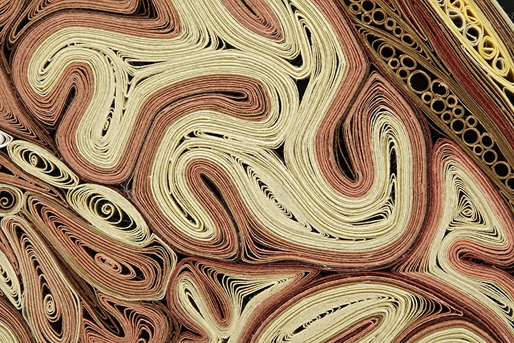 Dissected Cadavers Re-Created Using Rolls Of Paper - Fast Company