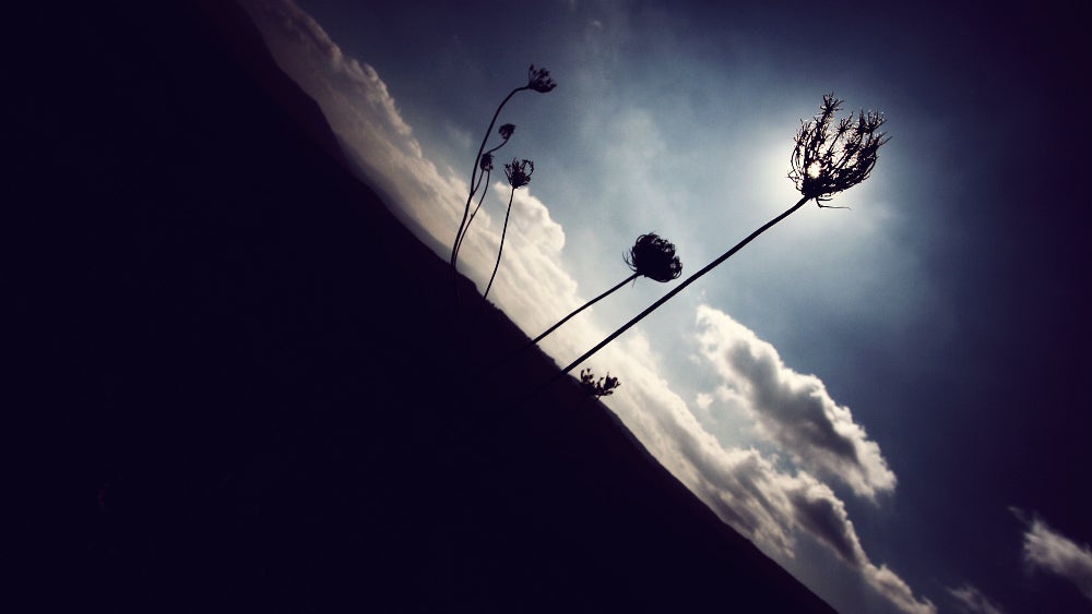 How Margaret Atwood Creates Scary-Plausible Future Worlds - Fast Company