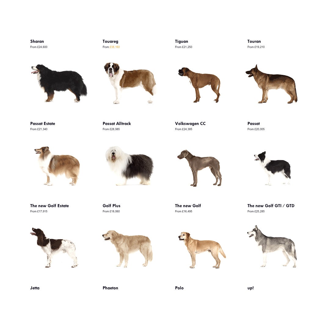 New Dog Breeds 2012 Six New Breeds To Debut At Westminster Dog Show