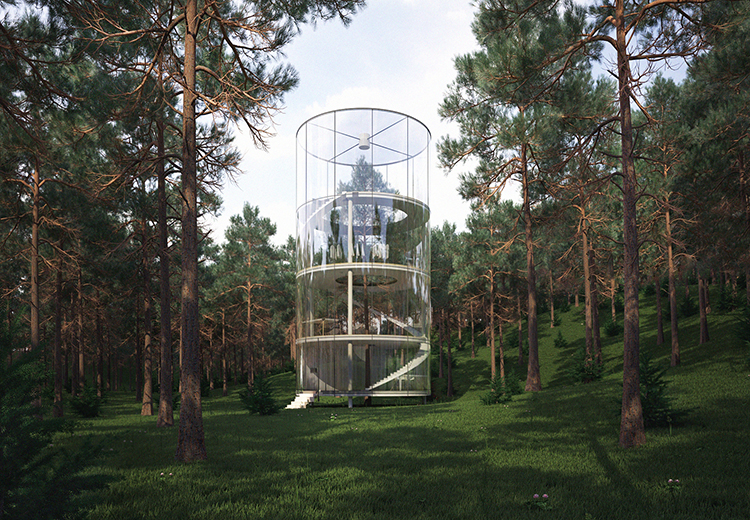 This Literal Treehouse Is A Glass House Built Around An Entire Tree ...