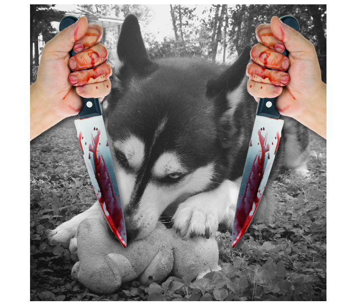 Chelsea Peretti Brings Innovation-And Mauling-To The Comedy App - Fast ...